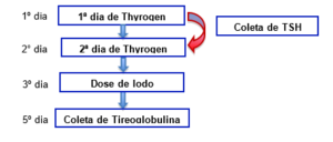 Pesquisa de Corpo Inteiro com 131 Iodo (PCI) - Dimen Medicina Nuclear